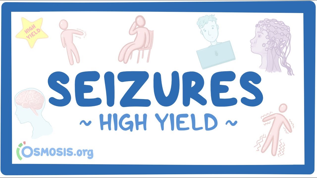 Seizures: Pathology review: Video, Causes, & Meaning | Osmosis