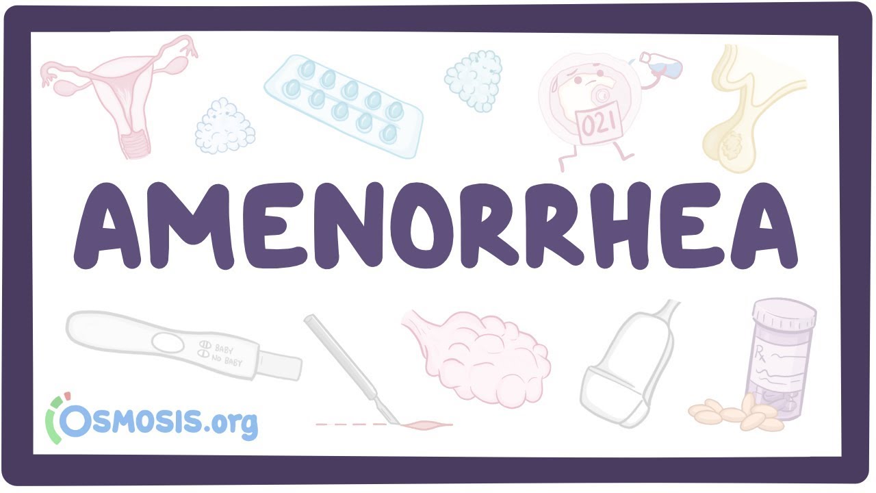 Amenorrhea - Osmosis Video Library