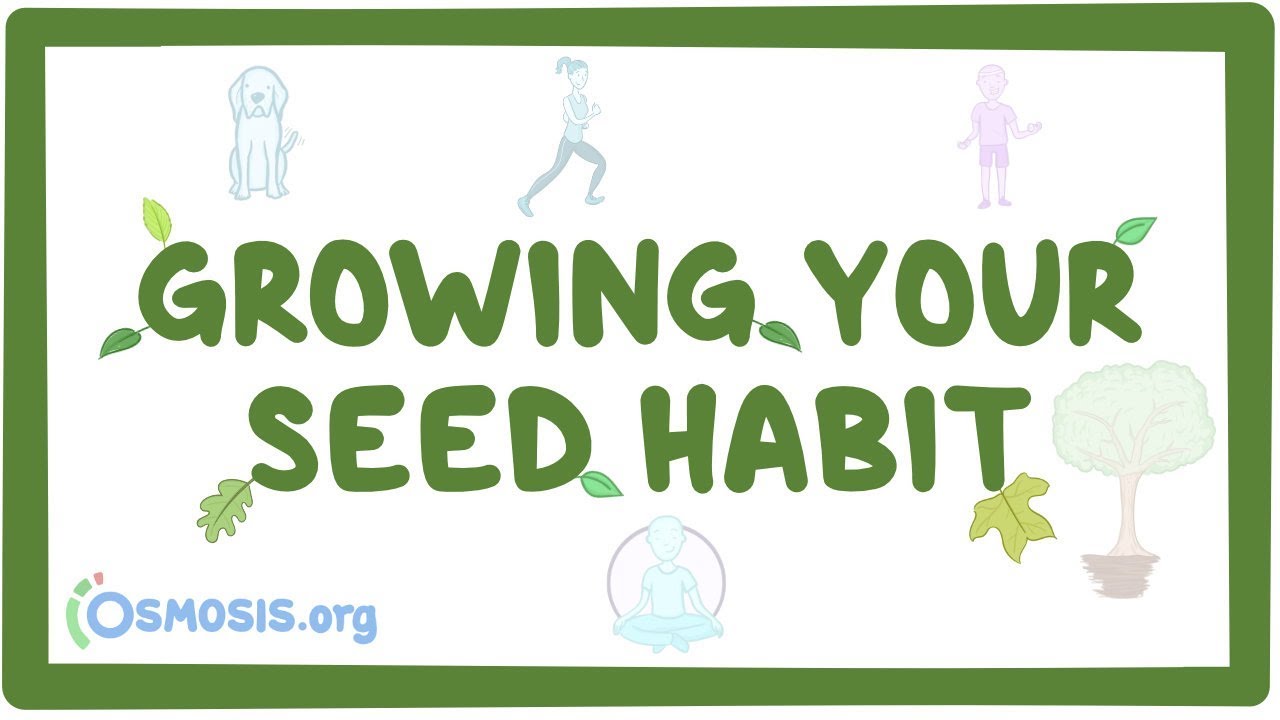 Growing your seed habit: Video, Causes, & Meaning | Osmosis