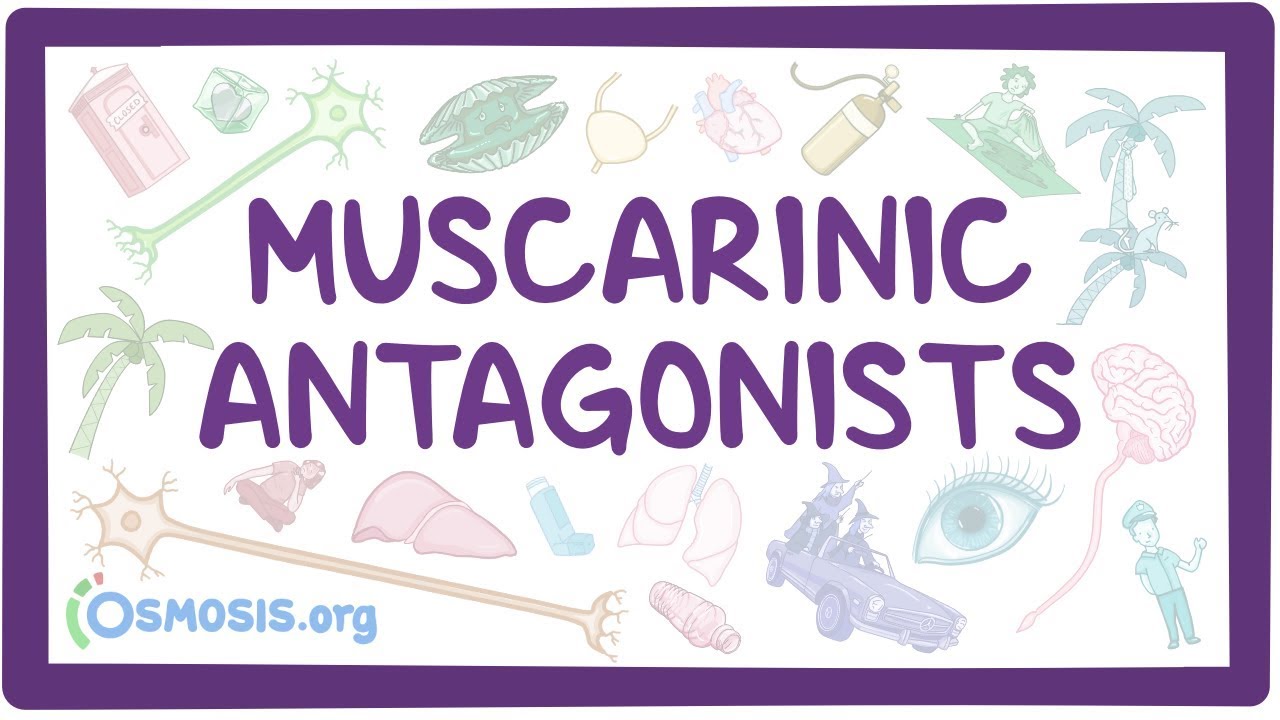 Muscarinic antagonists: Video, Causes, & Meaning | Osmosis