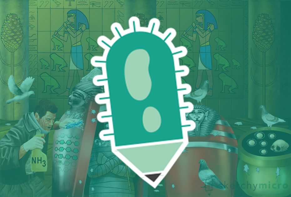 Cryptococcus neoformans - Osmosis