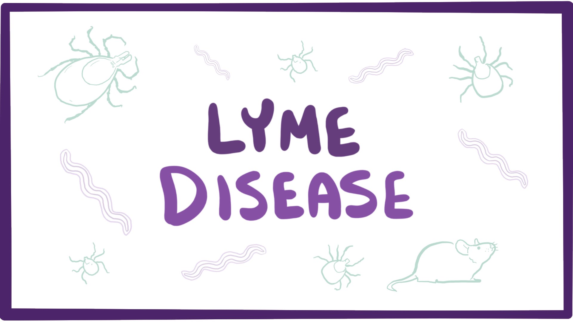 Borrelia burgdorferi (Lyme disease) | Osmosis