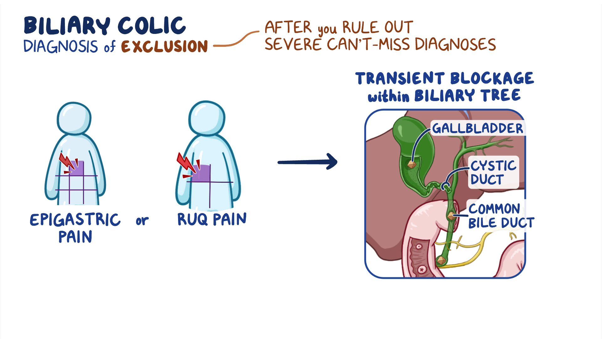 Murphys Sign Gallbladder Murphys Sign Gallbladder