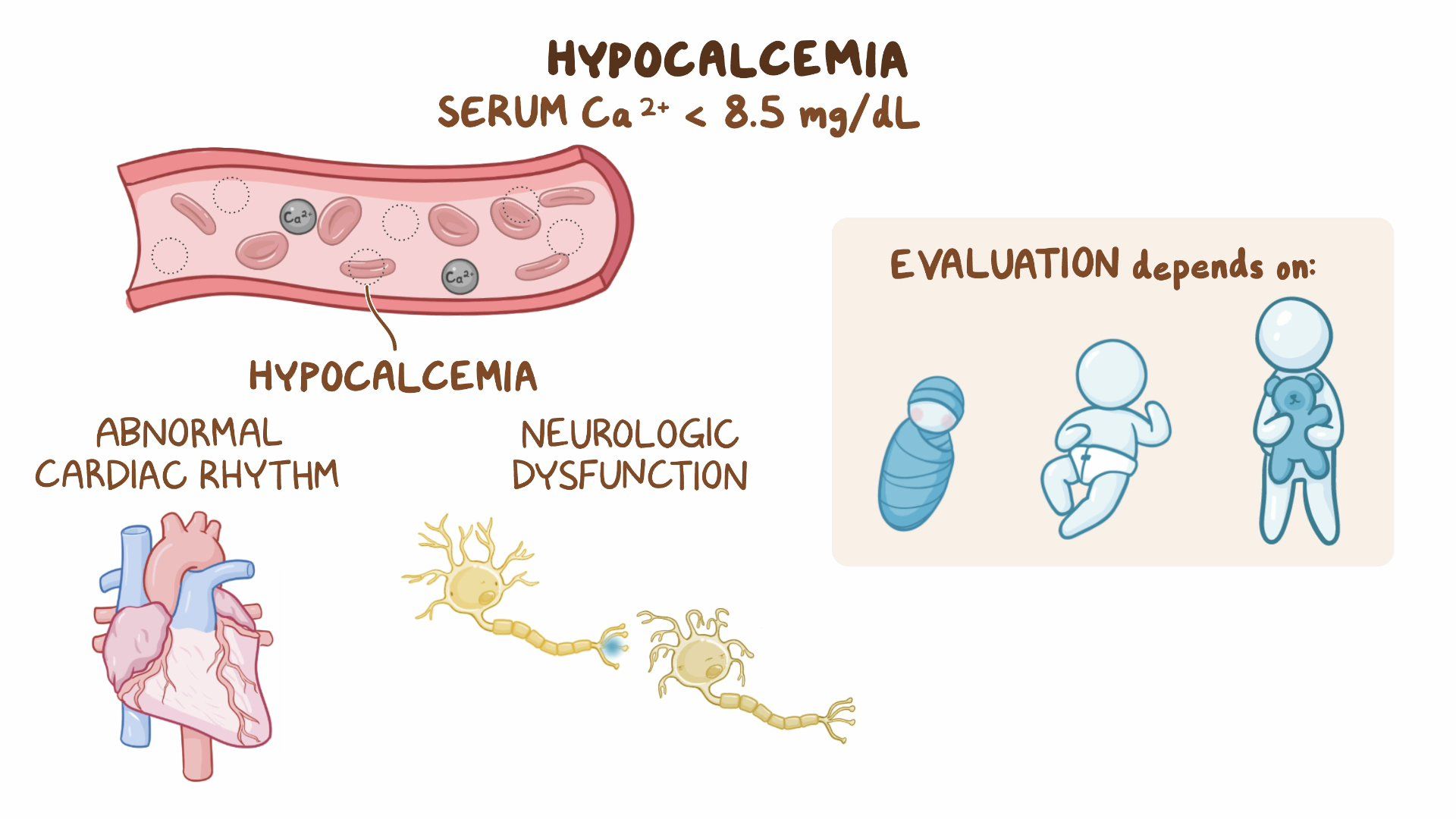 Approach to hypocalcemia (pediatrics): Clinical sciences - Osmosis ...