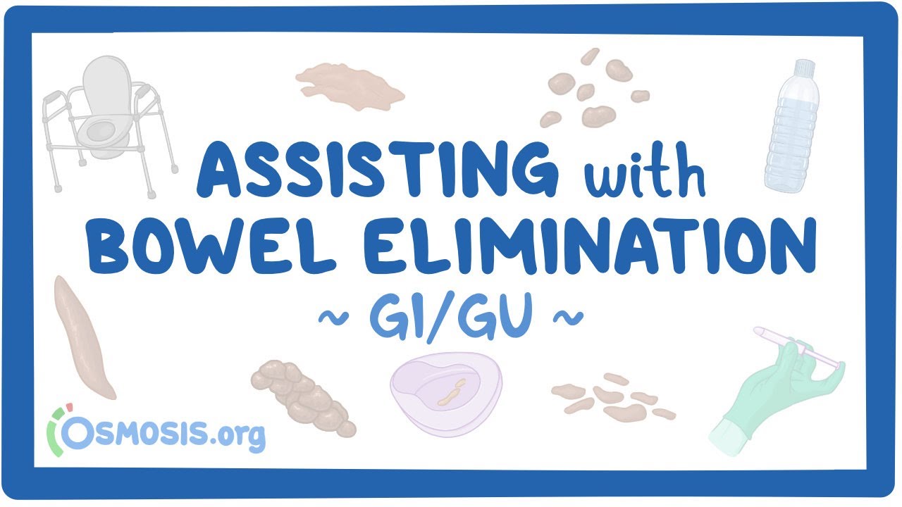 GI/GU: Assisting with bowel elimination: Video, Causes, & Meaning | Osmosis