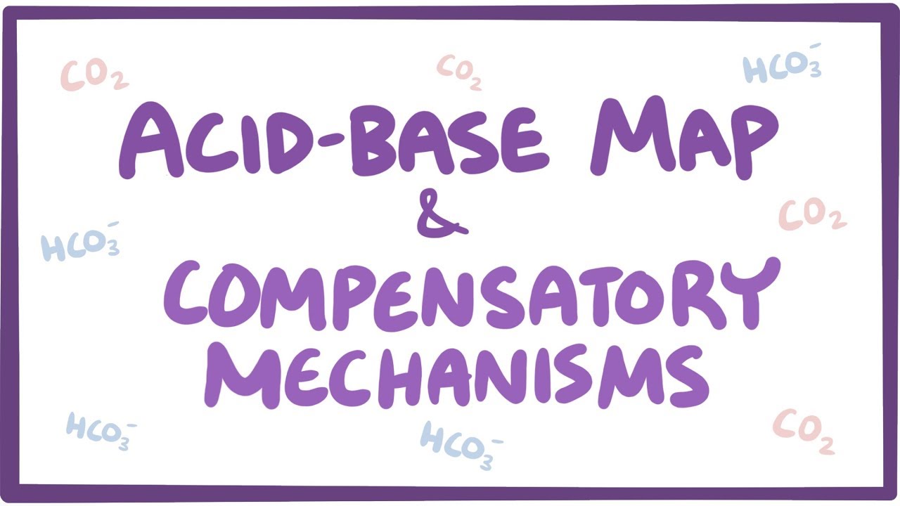 Acid-base map and compensatory mechanisms - Osmosis Video Library