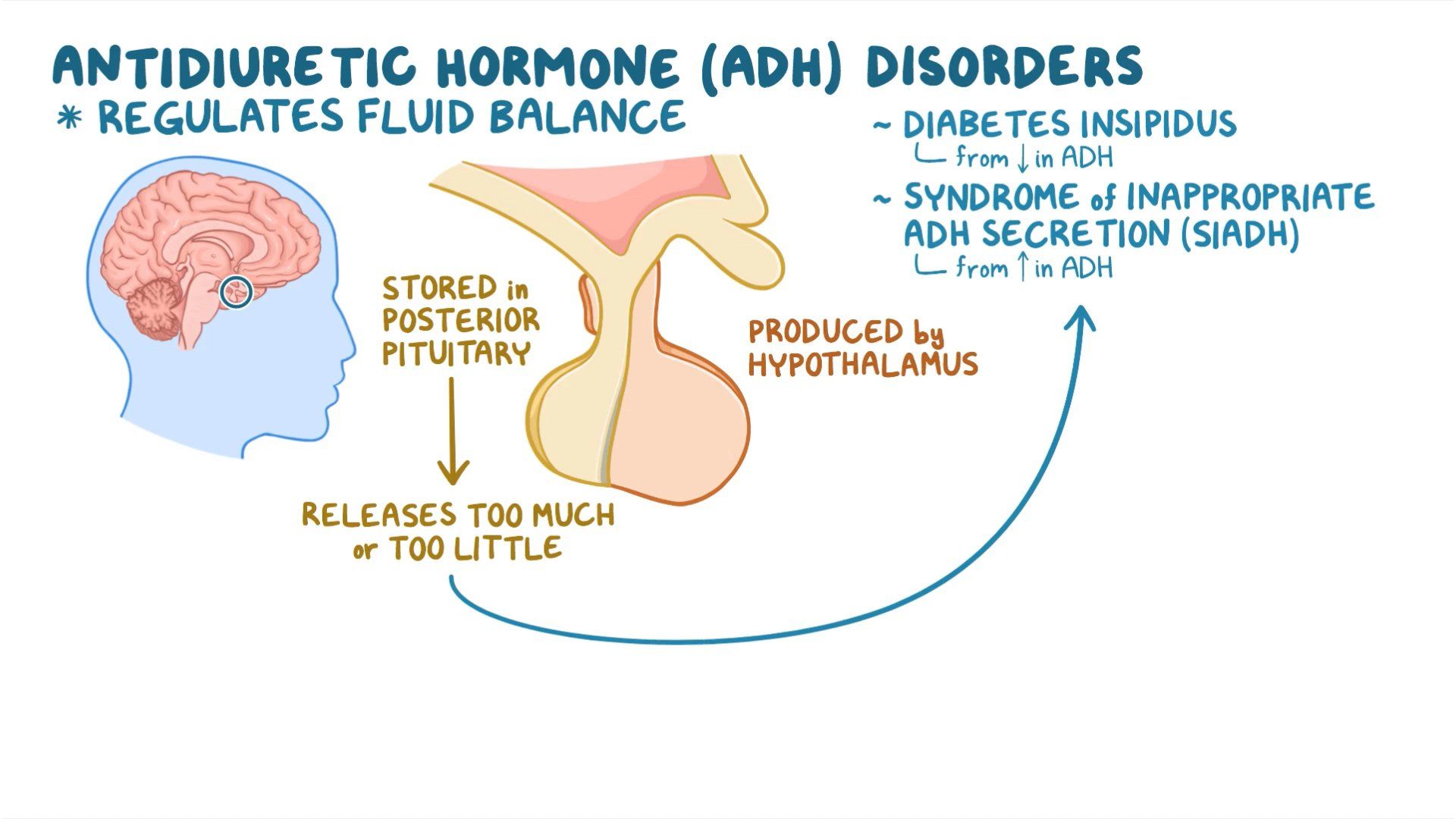 Medications For Antidiuretic Hormone ADH Disorders Nursing Medications For Antidiuretic Hormone ADH Disorders Nursing