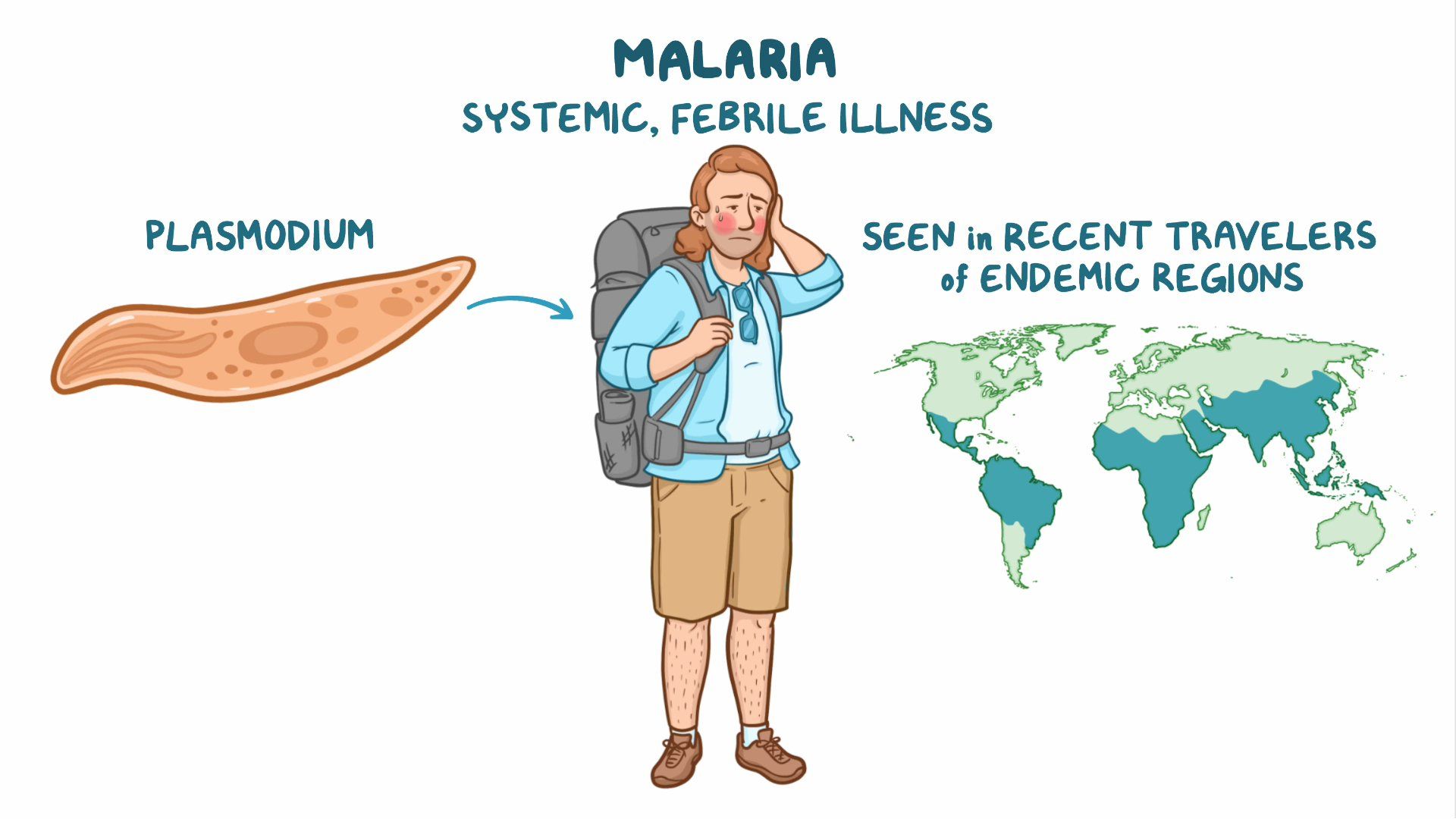 Malaria: Clinical sciences - Osmosis Video Library