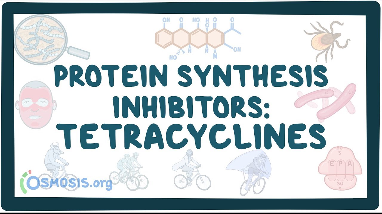 Protein synthesis inhibitors: Tetracyclines: Video, Causes, & Meaning ...