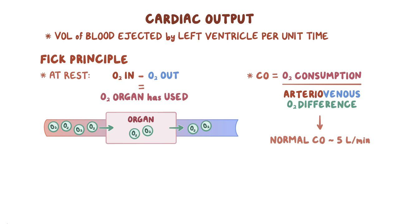 Measuring Cardiac Output Fick Principle Video Osmosis Measuring Cardiac Output Fick Principle Video Osmosis