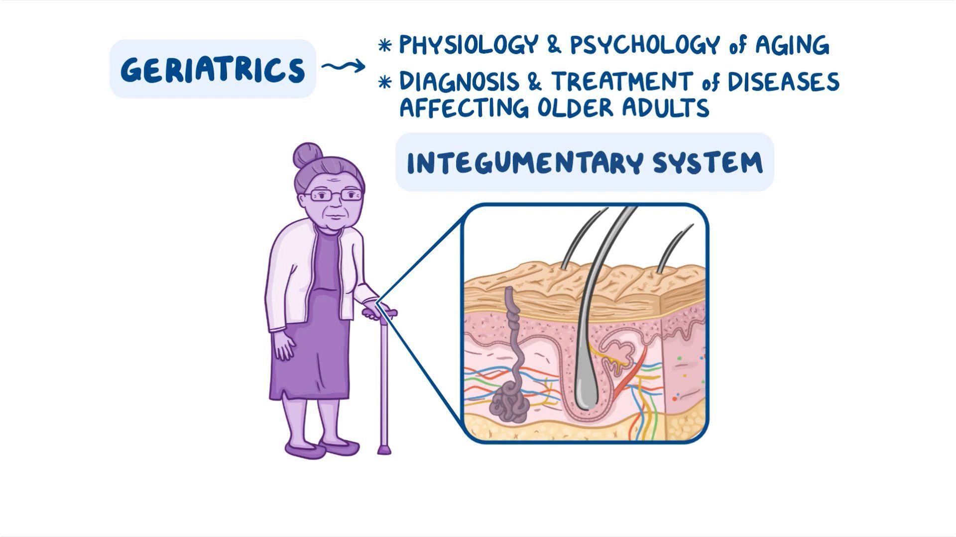 Geriatric considerations - Integumentary: Nursing - Osmosis Video Library