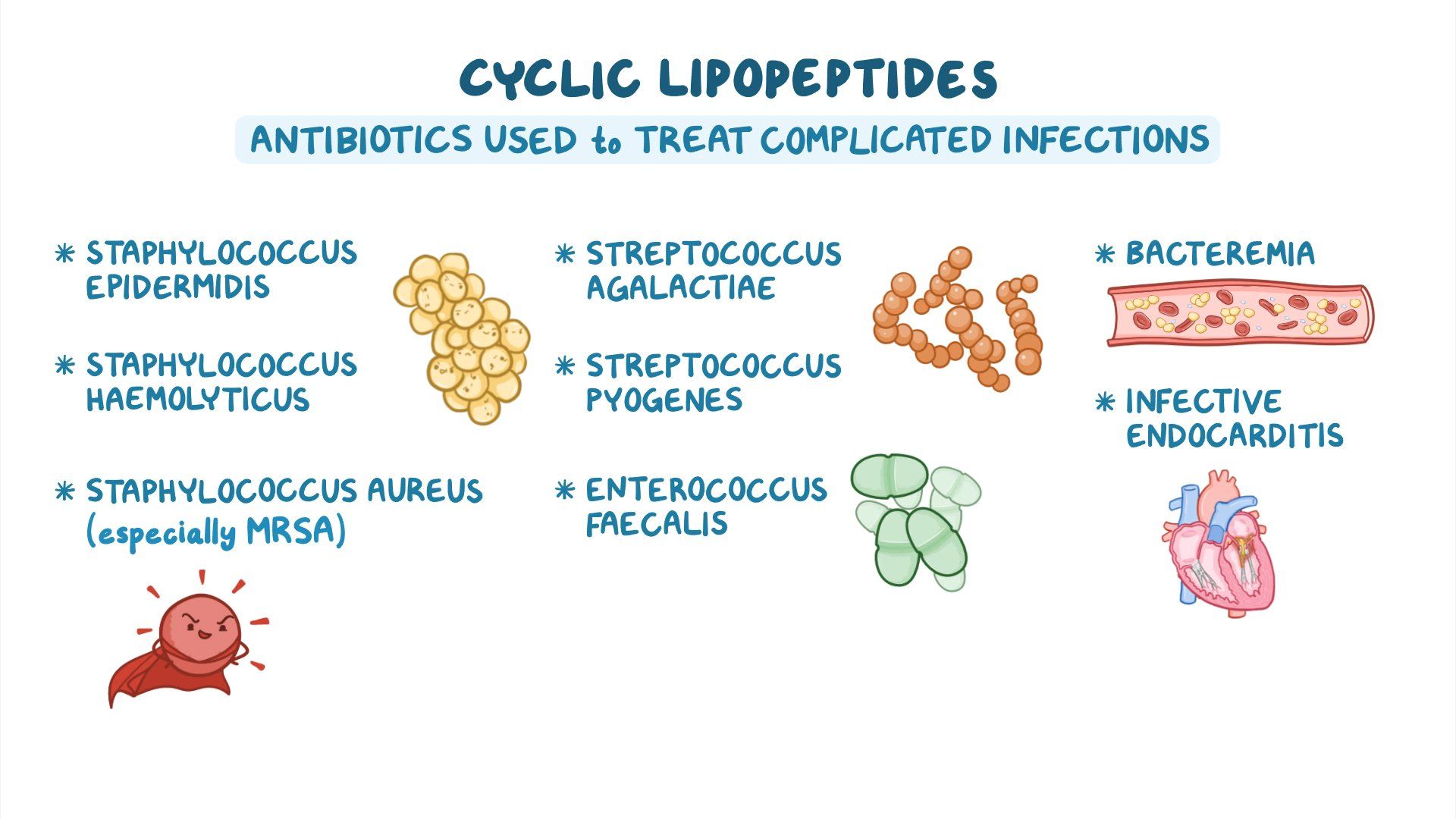 Antibiotics - Cyclic lipopeptides: Nursing pharmacology - Osmosis Video ...