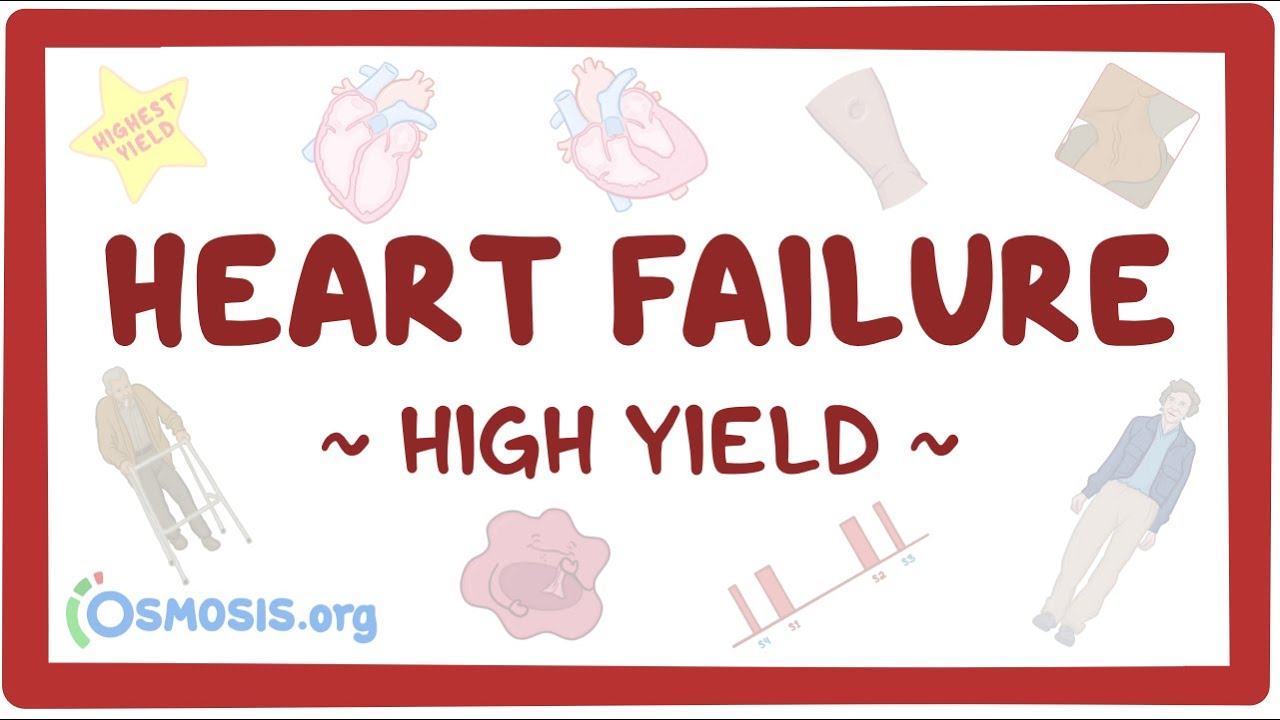 Heart failure: Pathology review: Video, Causes, & Meaning | Osmosis