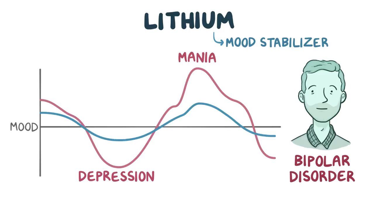 Lithium Video Anatomy Definition Function Osmosis Lithium Video Anatomy Definition Function Osmosis