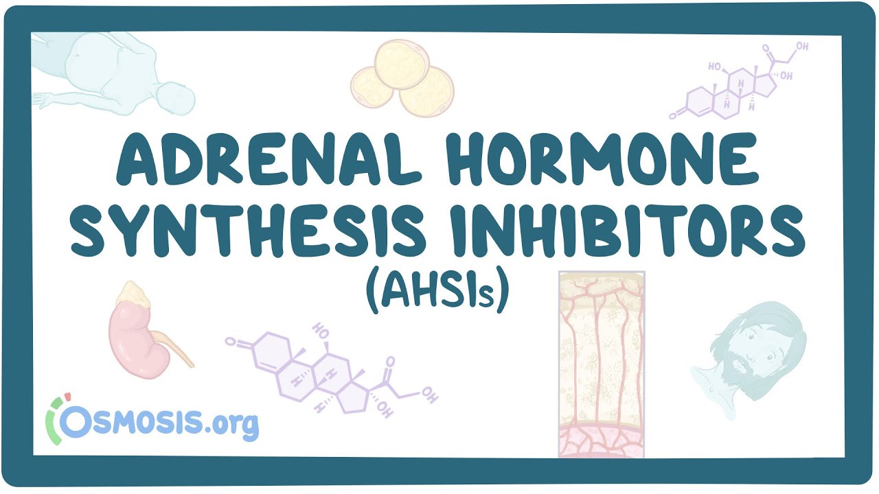 Adrenal hormone synthesis inhibitors: Video, Causes, & Meaning | Osmosis