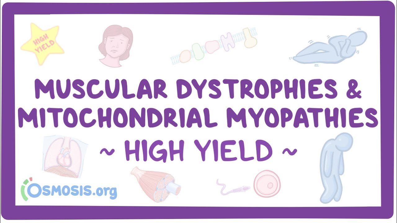 Muscular dystrophies and mitochondrial myopathies: Pathology review ...