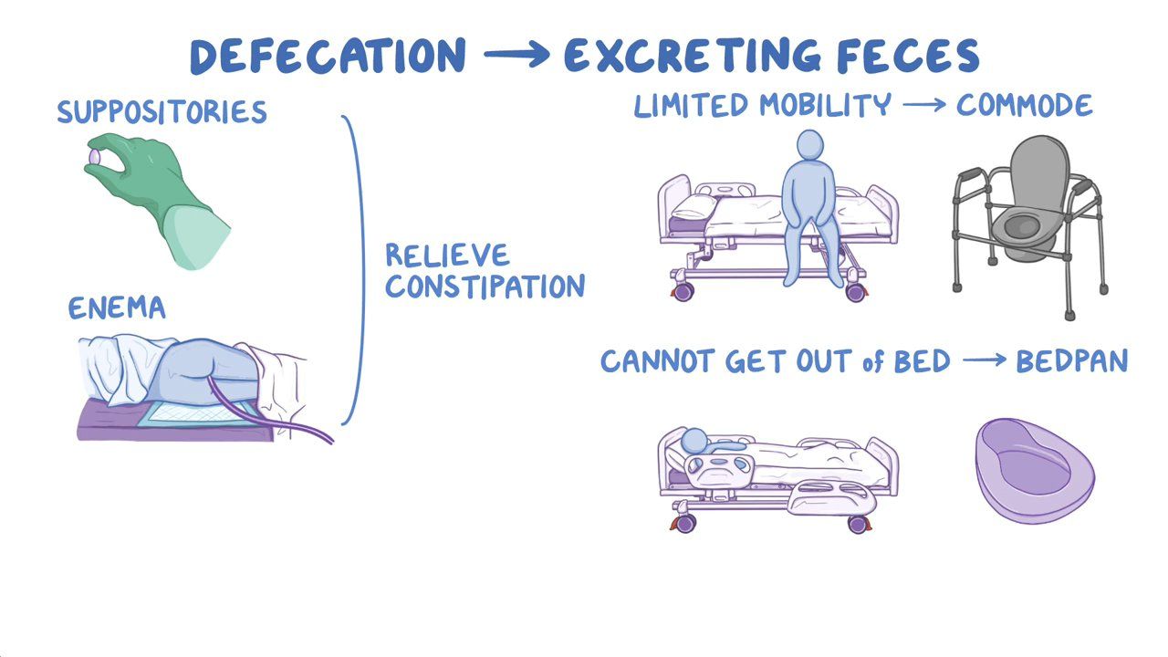 GI/GU: Assisting with bowel elimination - Osmosis Video Library