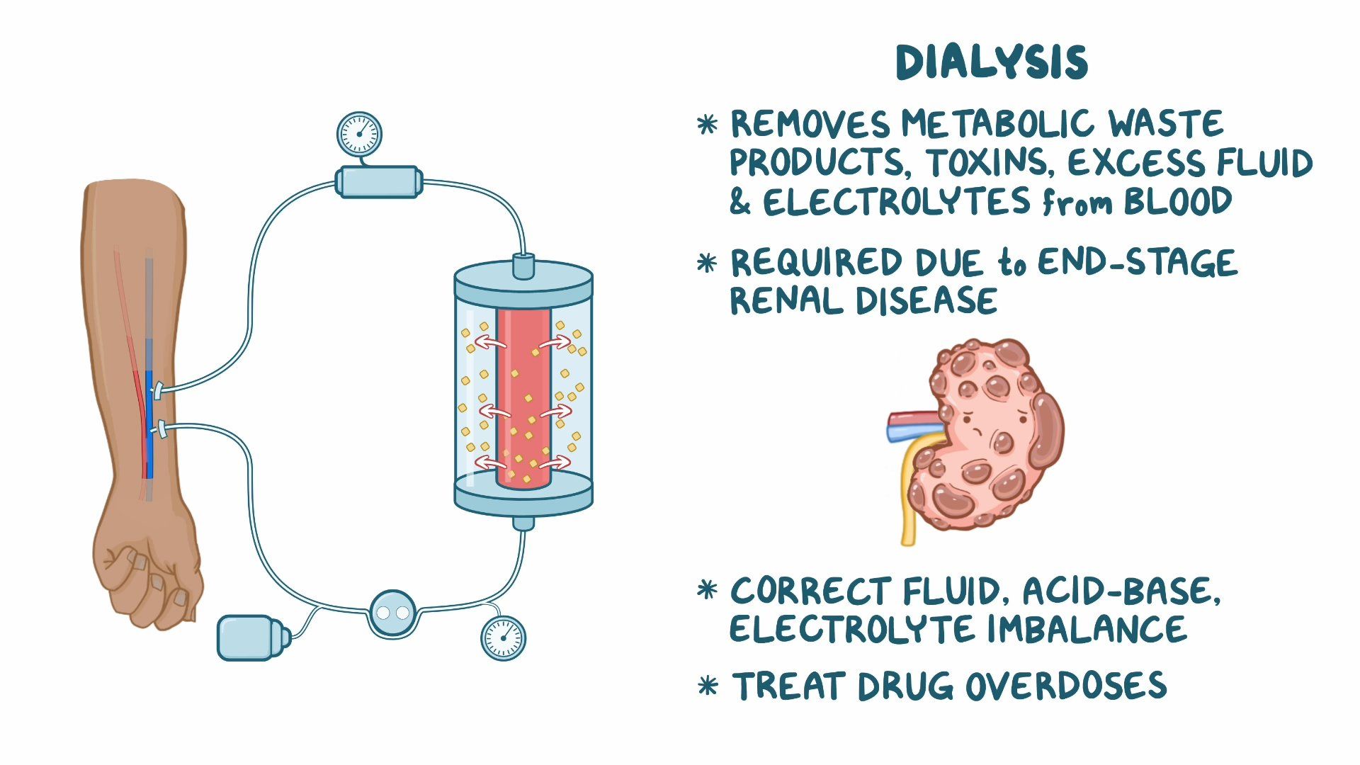 Dialysis Osmosis Video Library