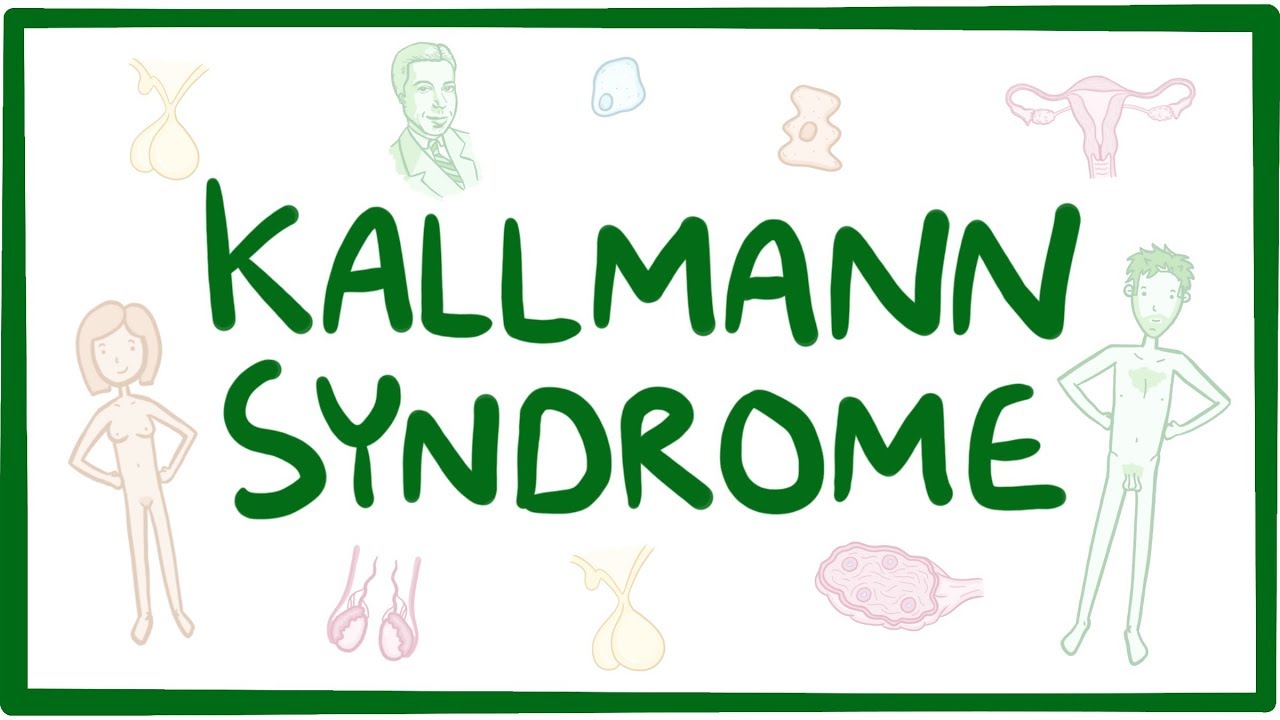 Kallmann syndrome: Video, Causes, & Meaning | Osmosis