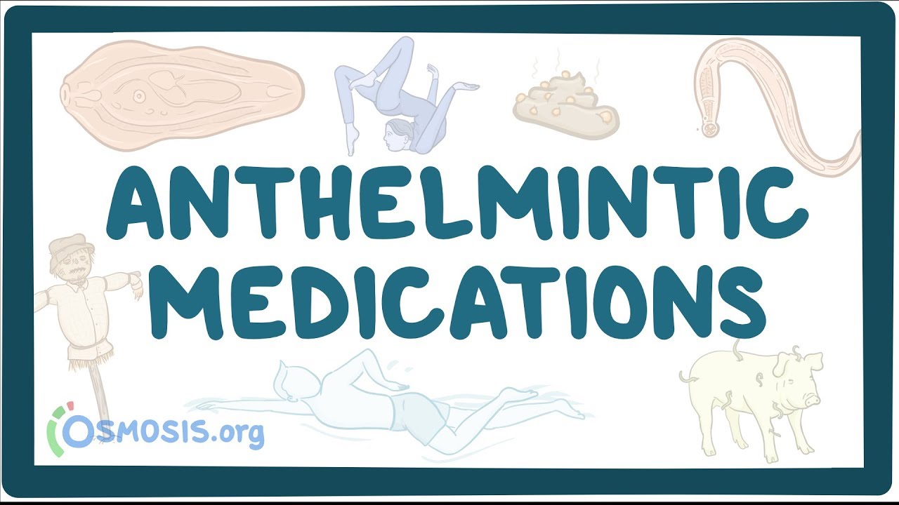 Anthelmintic medications: Video, Causes, & Meaning | Osmosis