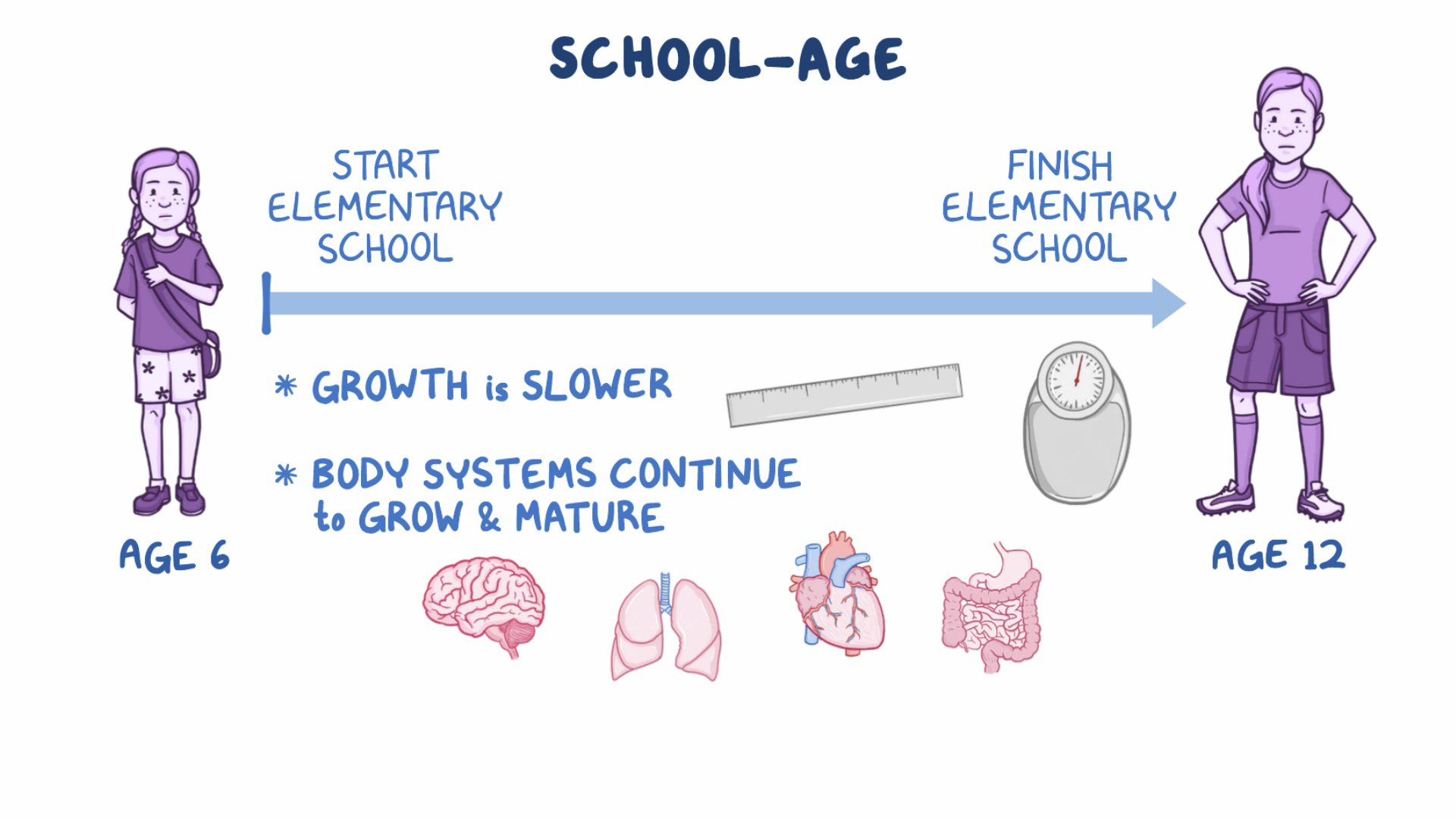 Growth and development - School-age: Nursing - Osmosis Video Library