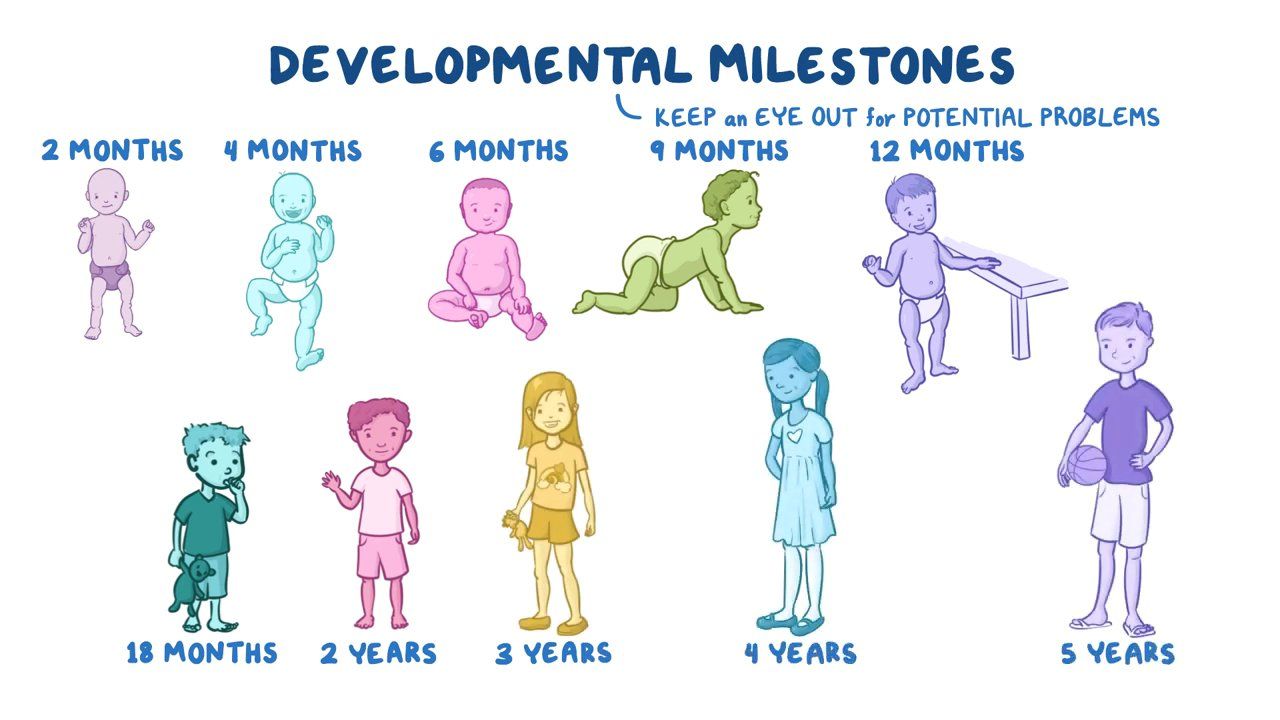 Developmental Milestones Clinical Video Anatomy Osmosis