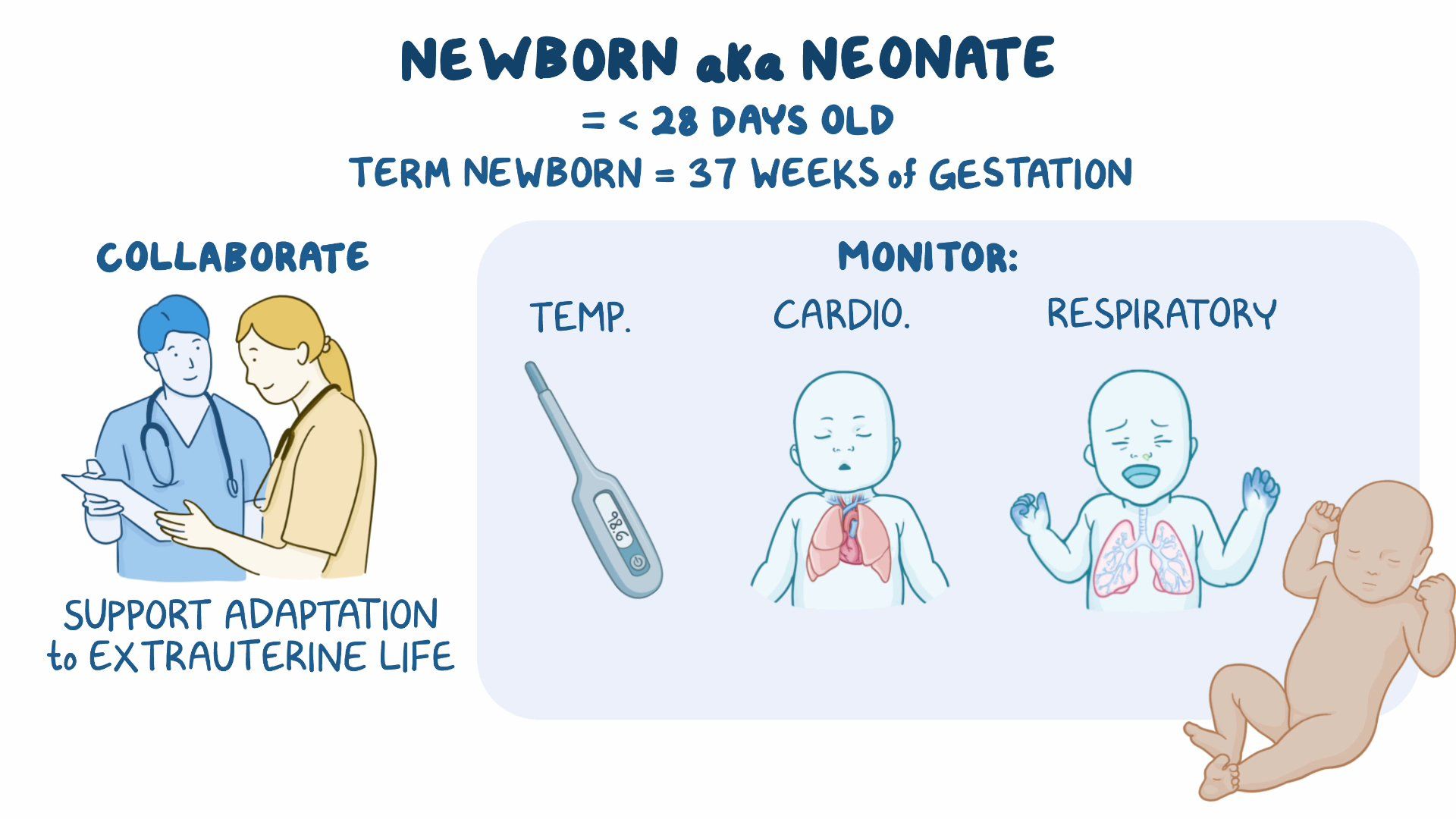 Nursing Care for the Term Infant - Osmosis Video Library