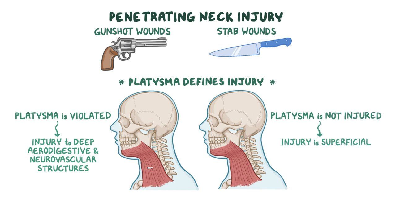 Penetrate Definition Penetrate Definition