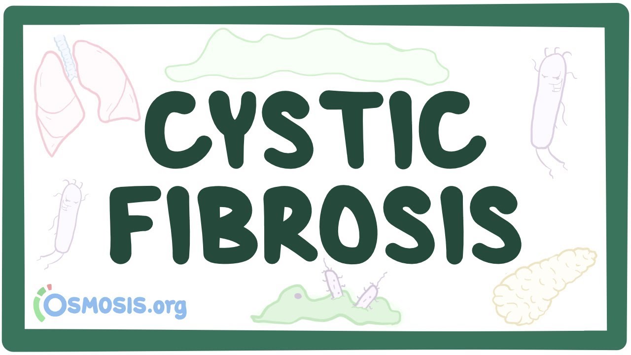 Cystic fibrosis: Video, Anatomy, Definition & Function | Osmosis