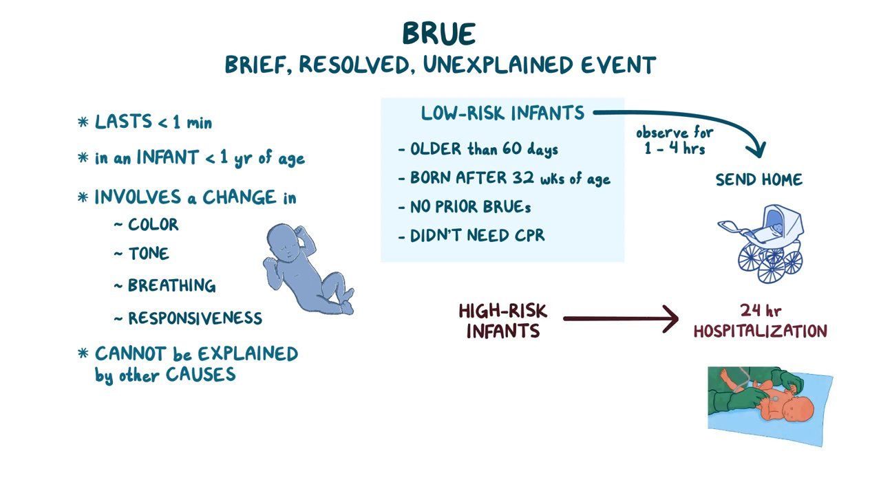 BRUE, ALTE, and SIDS: Clinical: Video & Anatomy | Osmosis