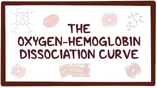 Oxygen binding capacity and oxygen content - Osmosis
