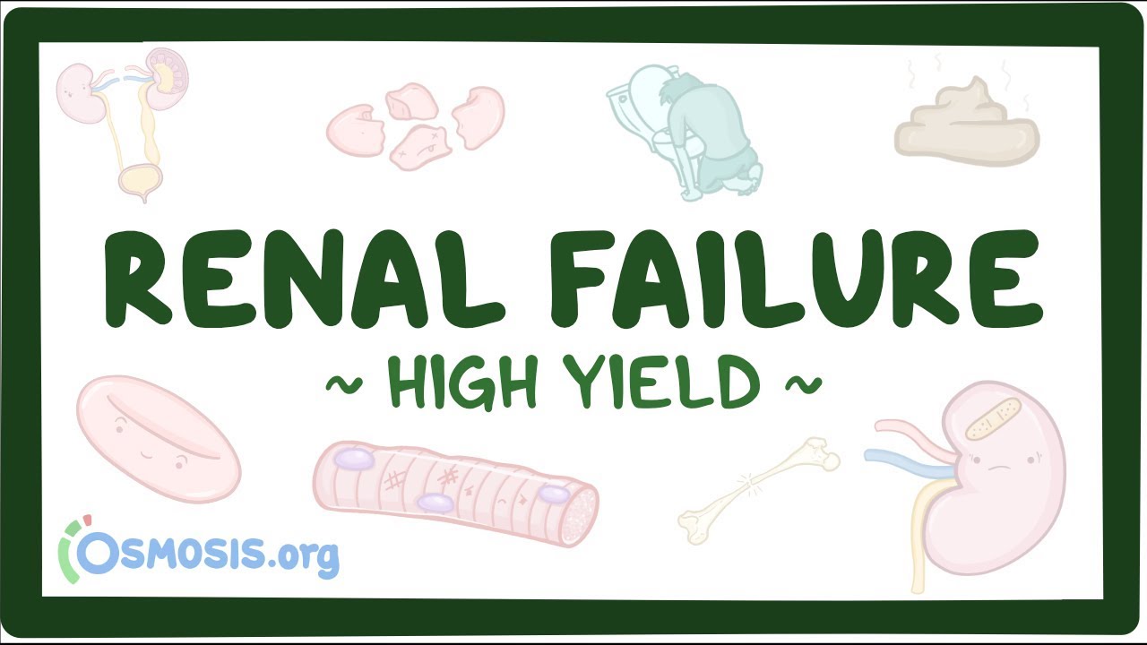 Renal failure: Pathology review: Video, Causes, & Meaning | Osmosis