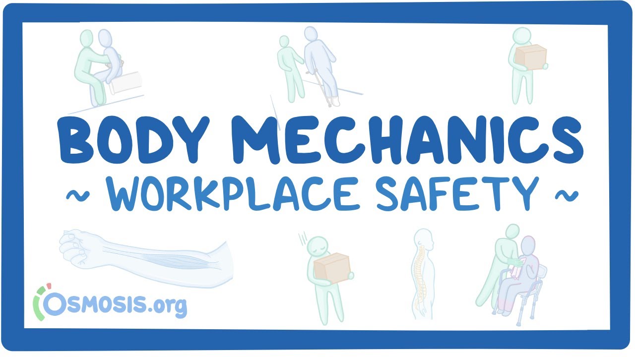 Workplace safety: Body mechanics: Video, Causes, & Meaning | Osmosis