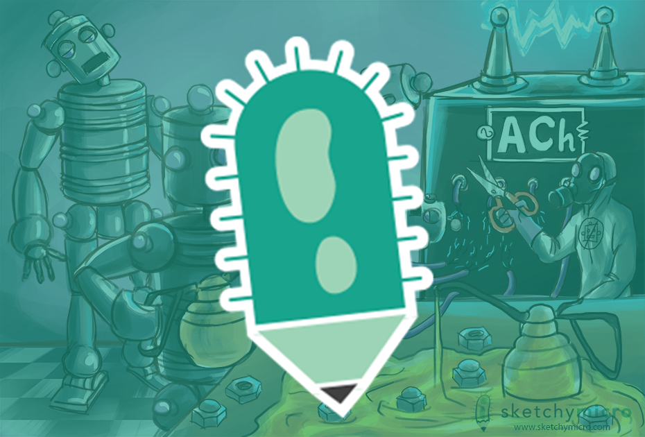 Clostridium botulinum (Botulism) - Osmosis