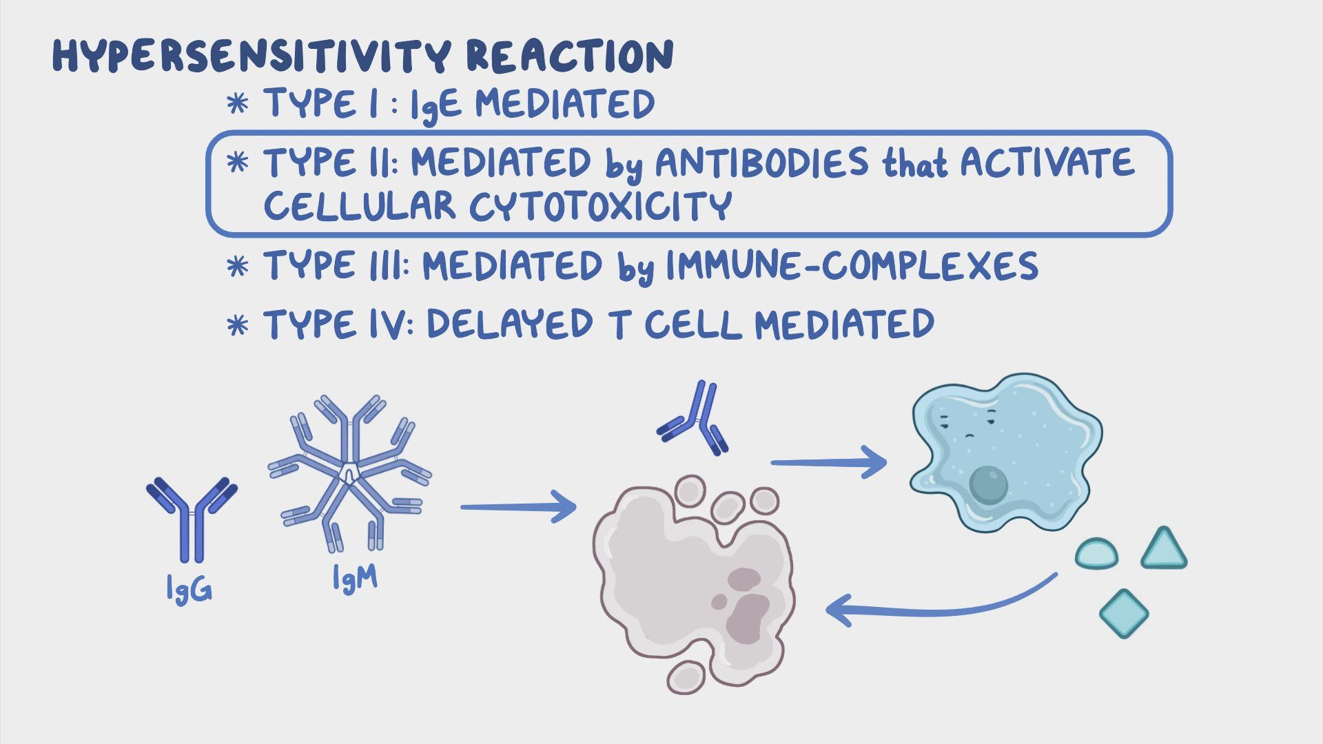 Hypersensitivity Reactions Type II Nursing Osmosis Video Library Hypersensitivity Reactions Type II Nursing Osmosis Video Library