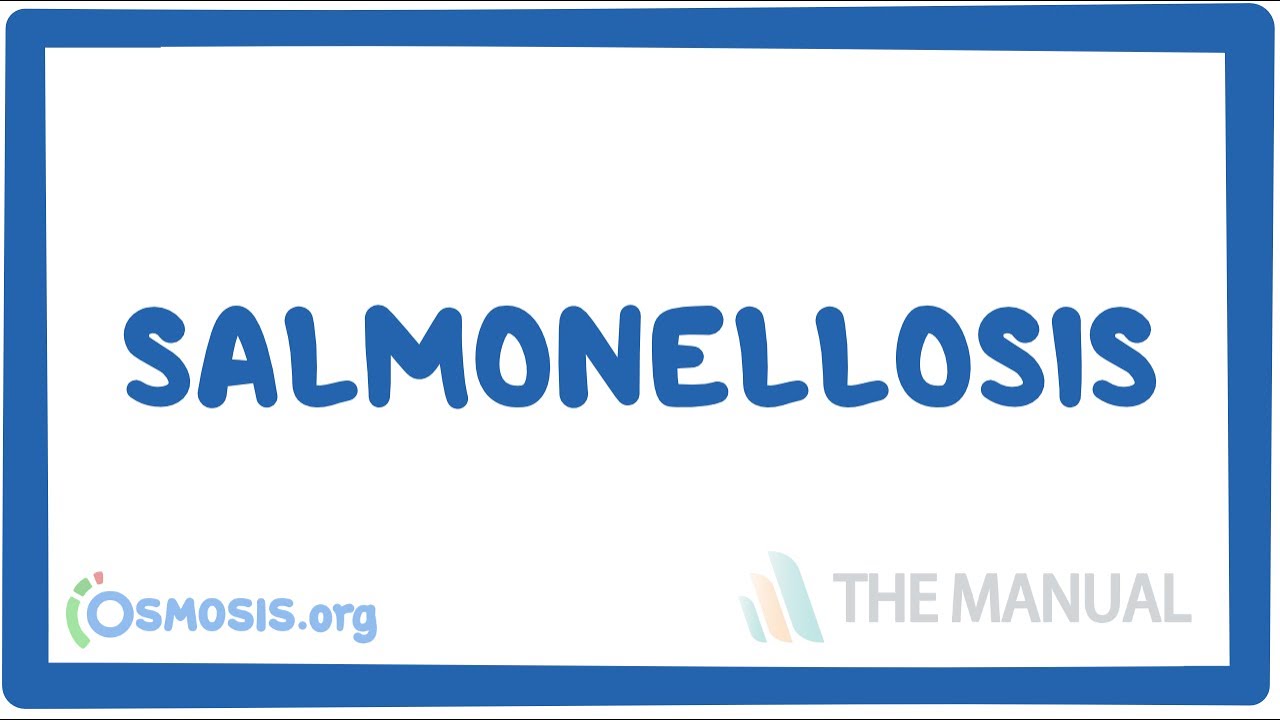 Salmonellosis: Video, Causes, & Meaning | Osmosis