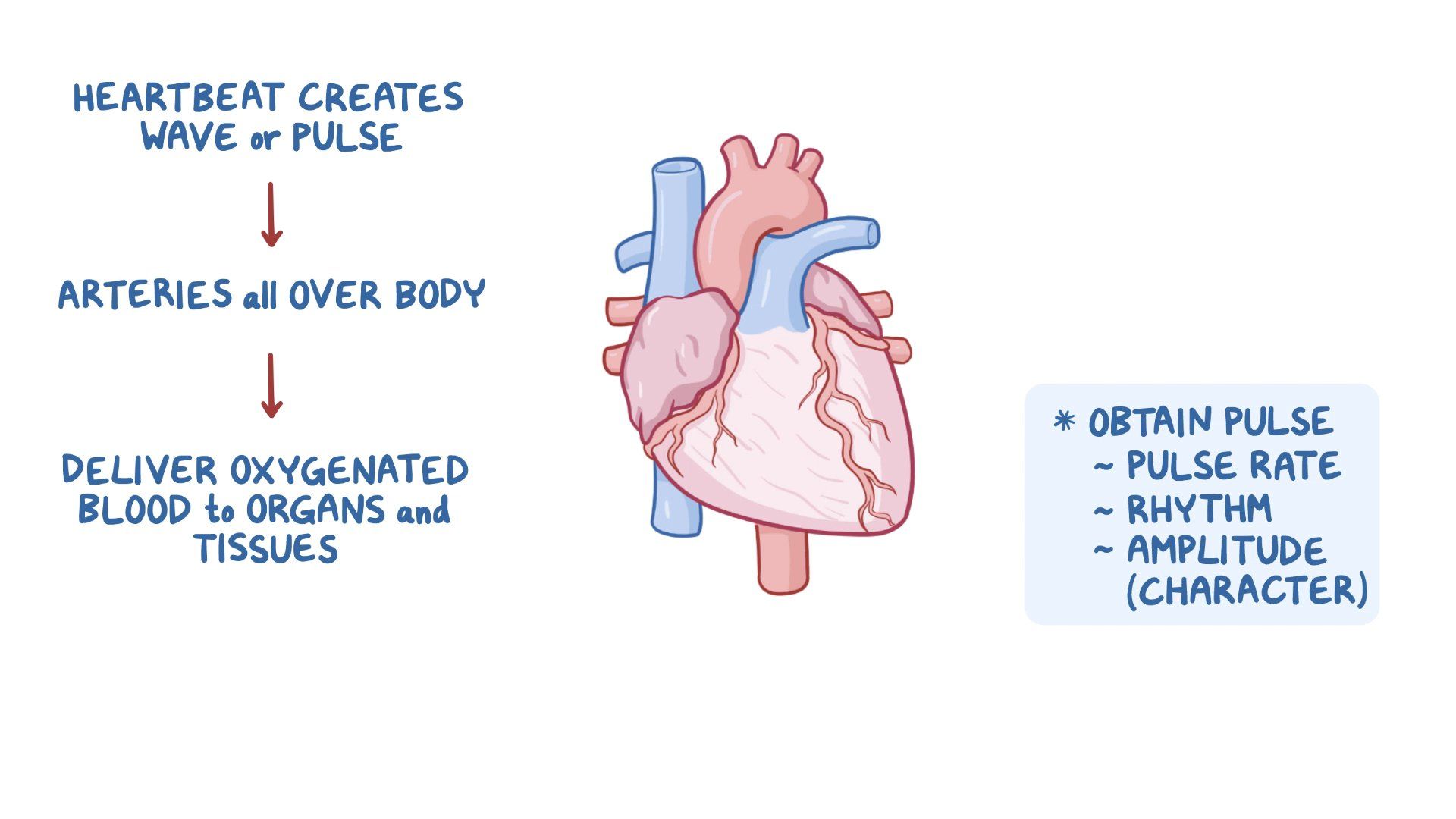 Cardiovascular Pulse Osmosis Video Library