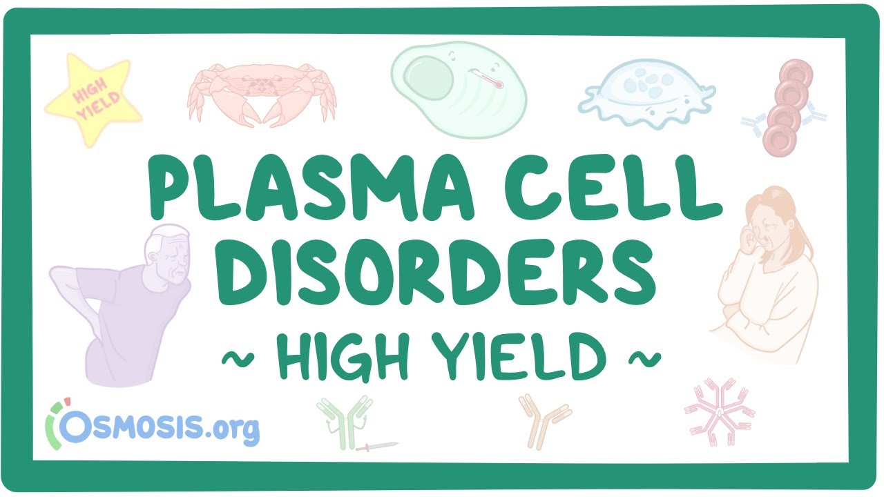 Plasma cell disorders: Pathology review: Video, Causes, & Meaning | Osmosis