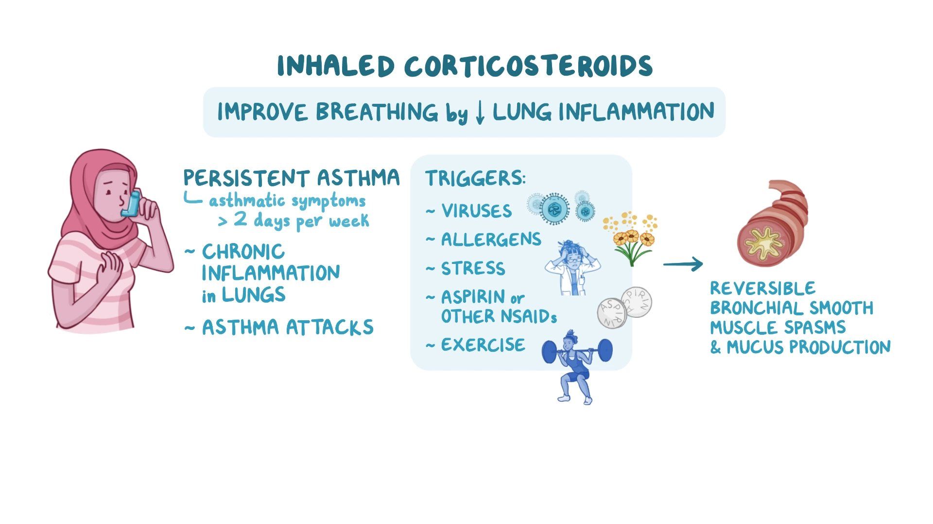 Inhaled Corticosteroids Osmosis Video Library Inhaled Corticosteroids Osmosis Video Library