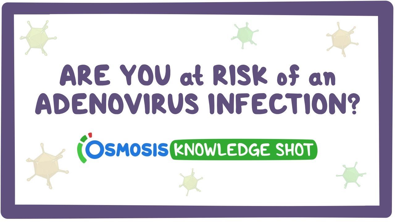 Knowledge Shot: Are you at risk of an adenovirus infection: Video ...