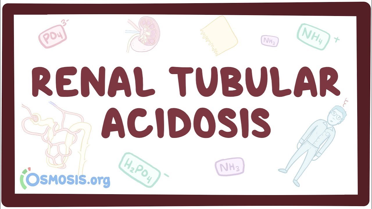 Renal tubular acidosis: Video, Causes, & Meaning | Osmosis