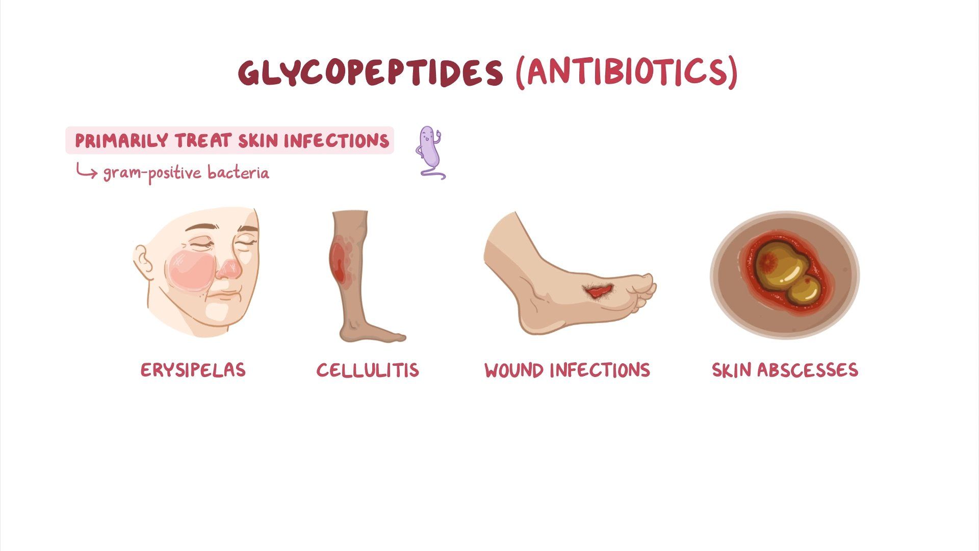 Antibiotics - Glycopeptides - Osmosis Video Library