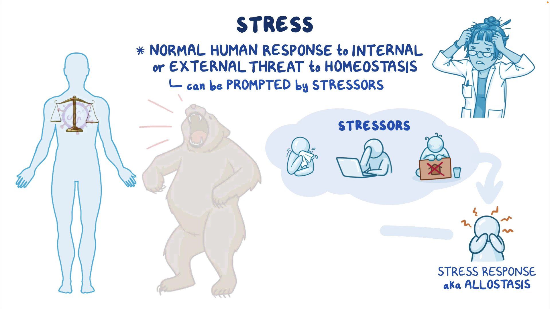 Stress Management - Osmosis Video Library