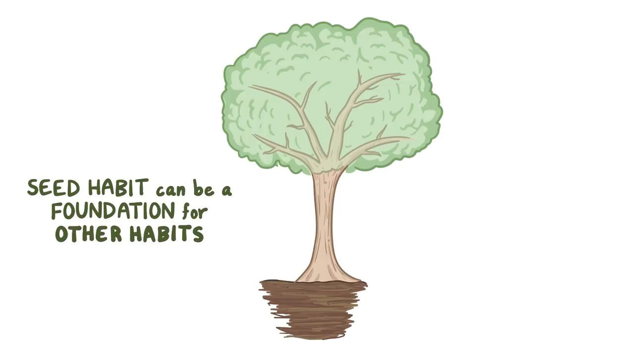 Growing your seed habit: Video, Anatomy & Definition | Osmosis