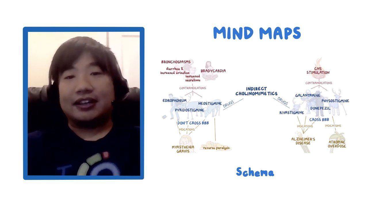 What are mind maps and how do you use them effectively | Osmosis