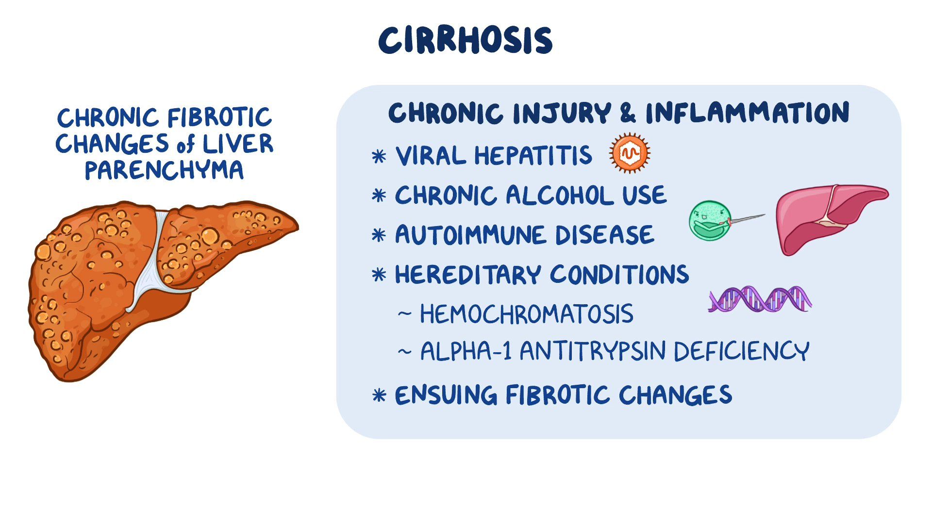 Cirrhosis: Clinical sciences - Osmosis Video Library