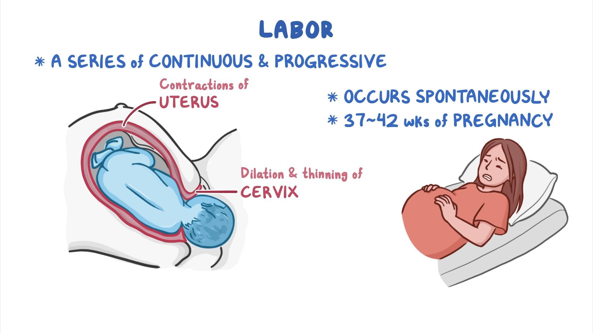 Pregnancy Labor Videos Pregnancy Labor Videos
