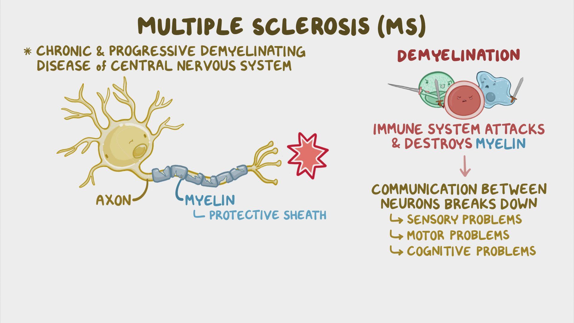 What Is Ms Disease Info uru ac th