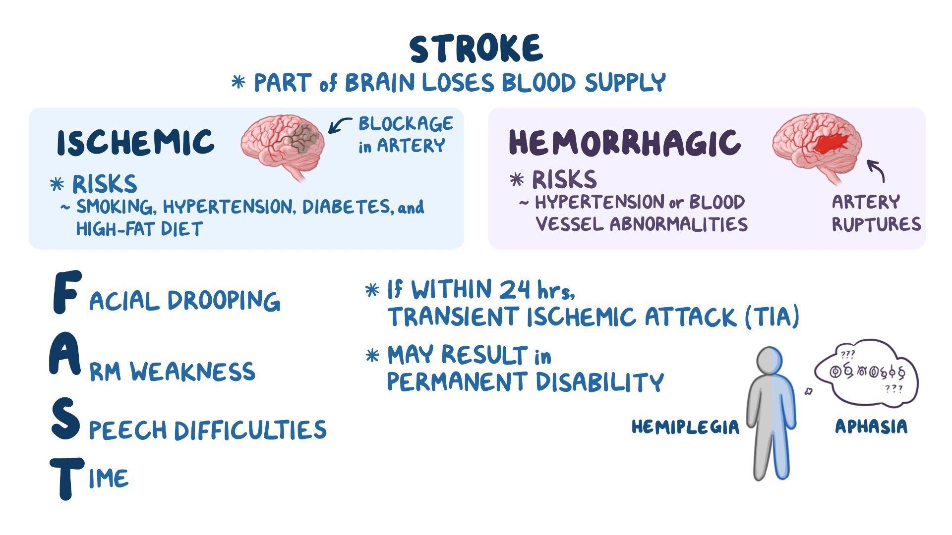 Nervous System Seizures And Strokes Osmosis Video Library
