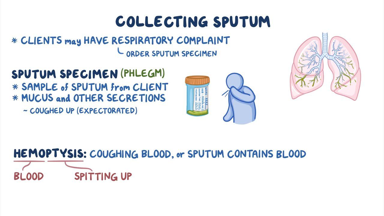 Sputum Sample Sputum Sample